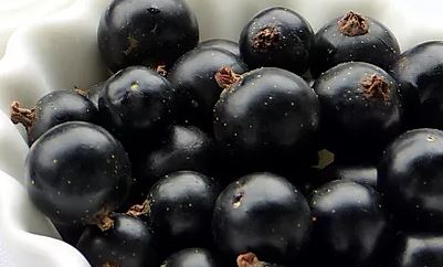 Black Currant Dark Balsamic | A Bit of Taste - Snohomish Olive Oil Co.